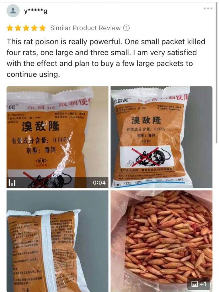 RACUN TIKUS – Malaysia Singapore